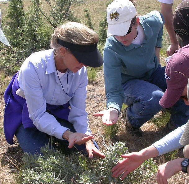 Recognizing Teaching Excellence – Range Science Education Council